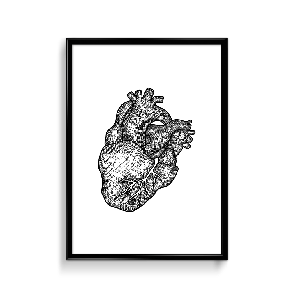 'Anatomical Heart' Print – Few & Far Co.